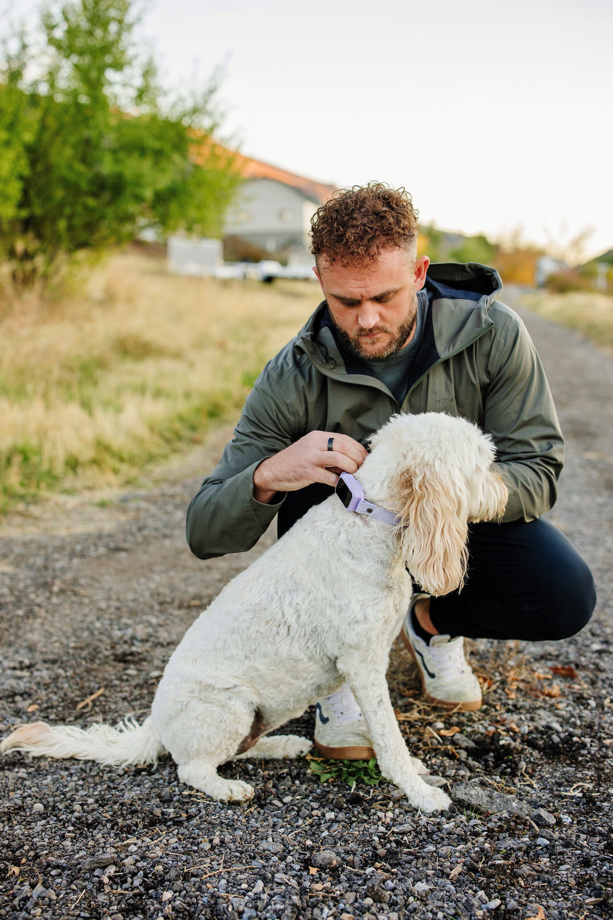 Halo Collar vs PetSafe vs PawTronic: Quick Comparison