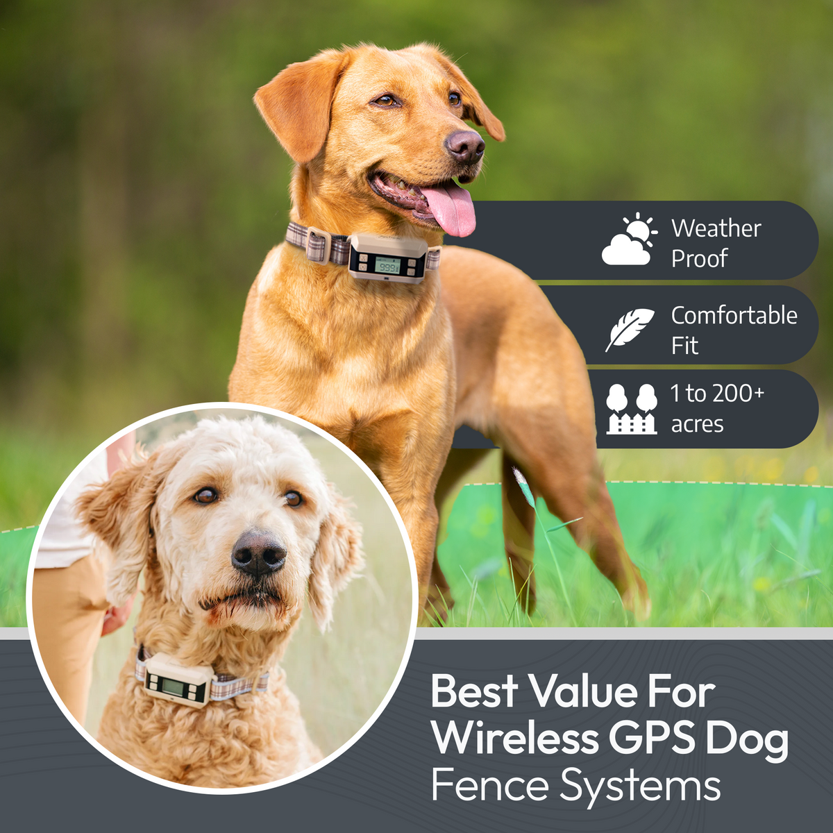 PawTronic GPS Dog Fence Collar - Wireless Dog Collar