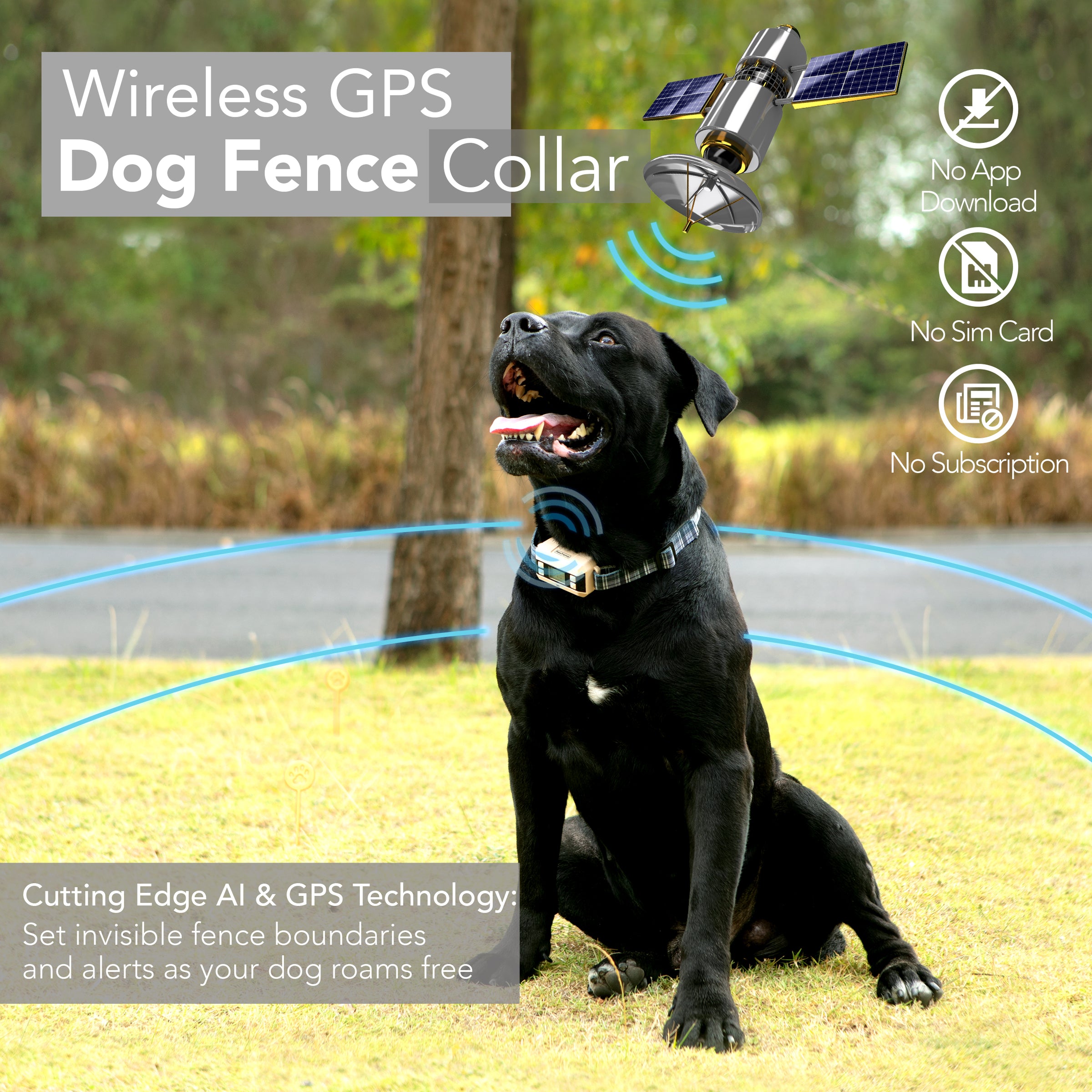 Best Gps Dog Fence | Wireless Dog Fence System | PawTronic GPS